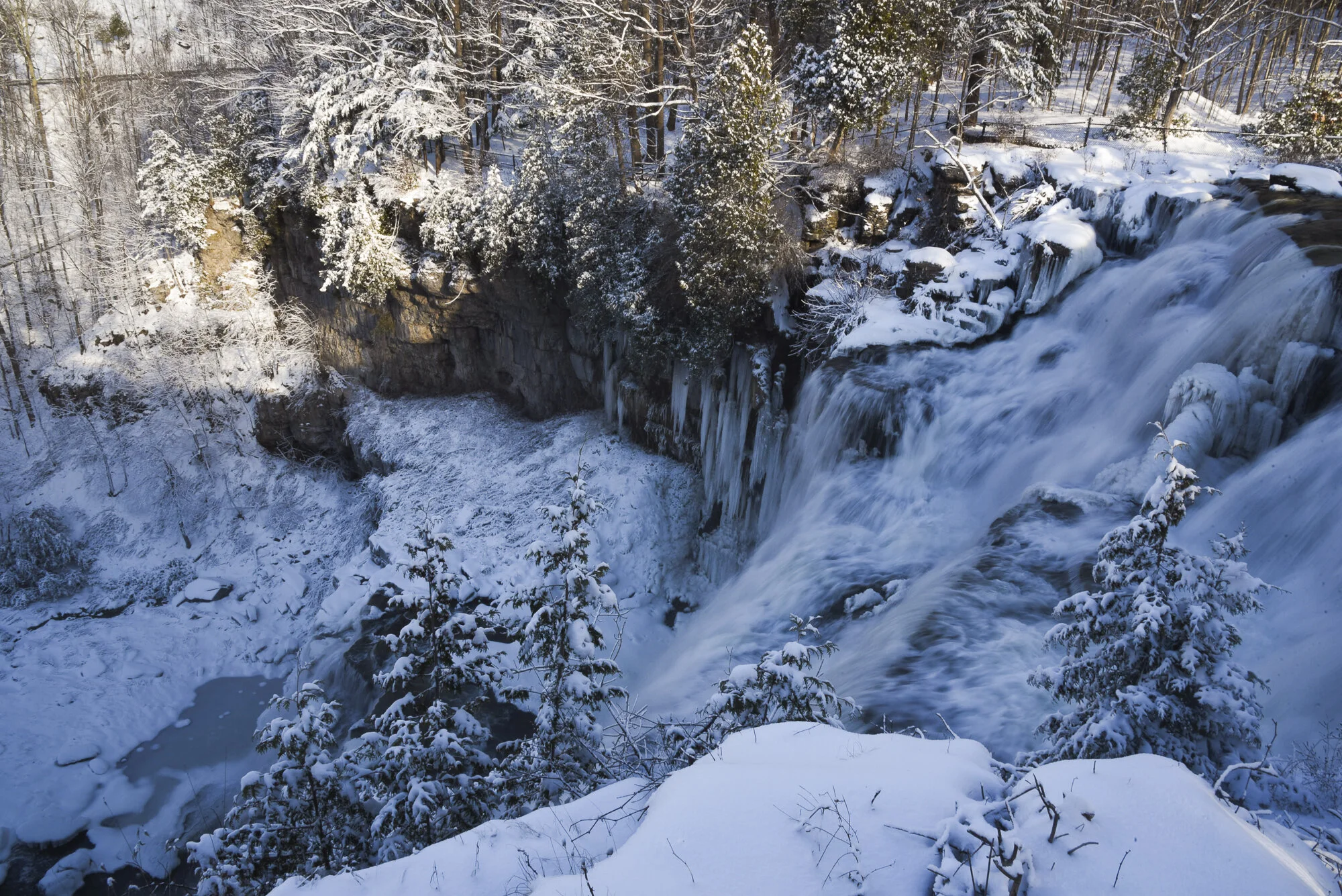 Chittenango Ovate Amber Snail — Jessica Suarez