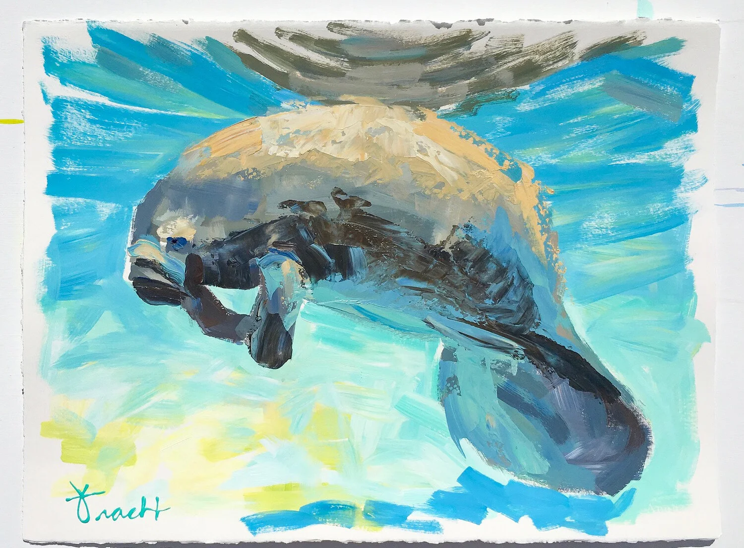 Manatee Painting