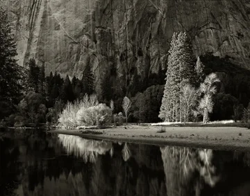 Value In Photography Definition