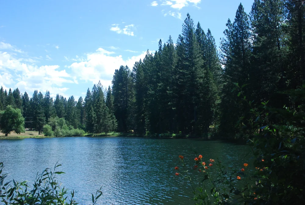 California Lake Country — itsweet & savory