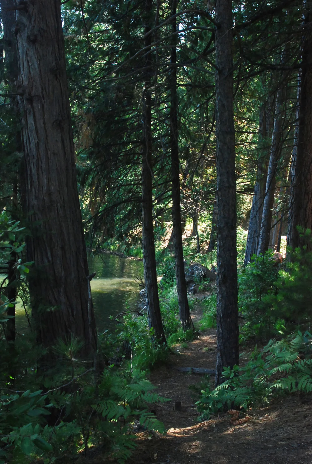 California Lake Country — itsweet & savory