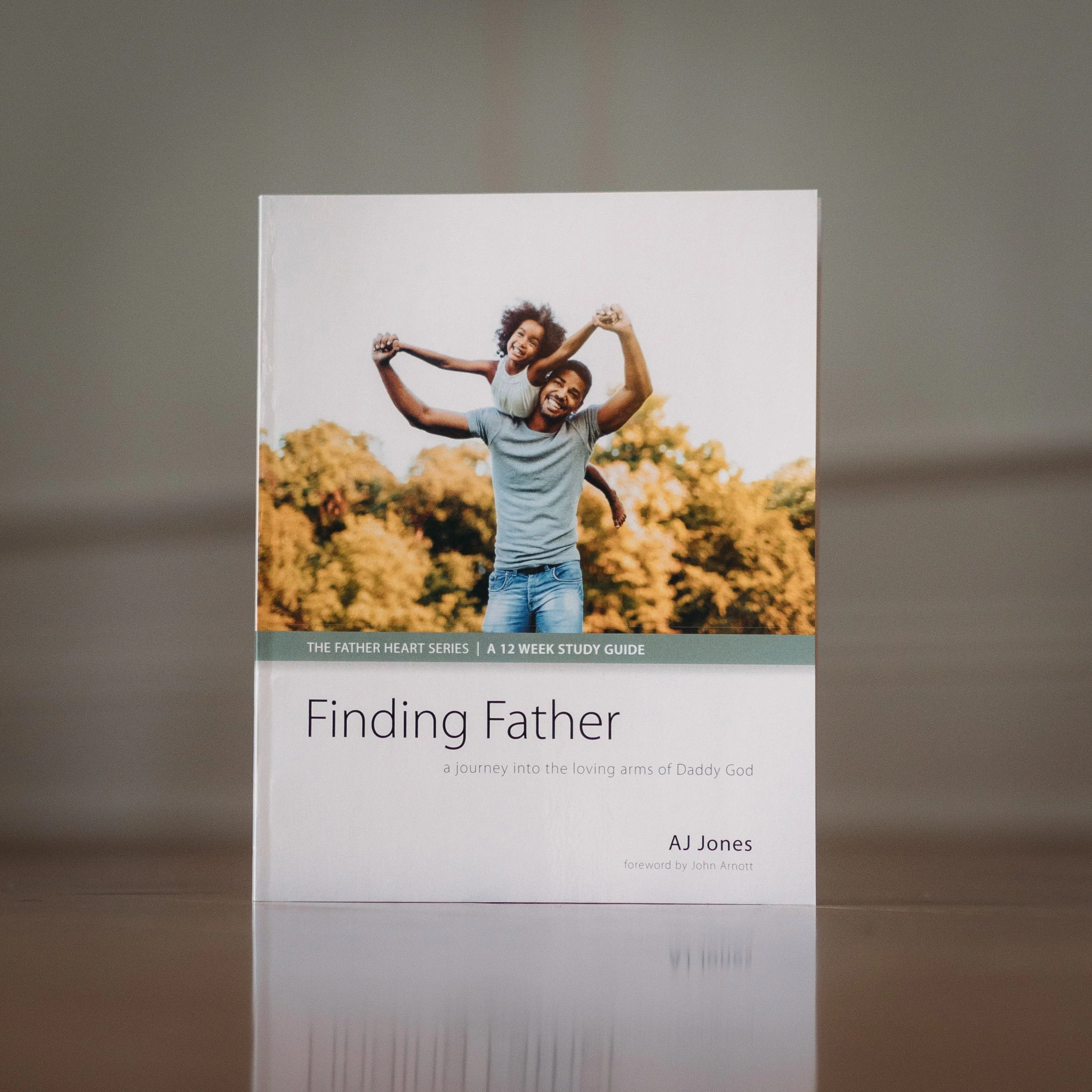 Finding Father Book