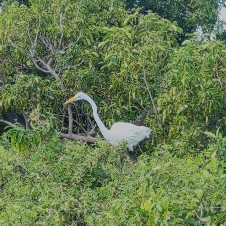 Photos — Jared Knowles