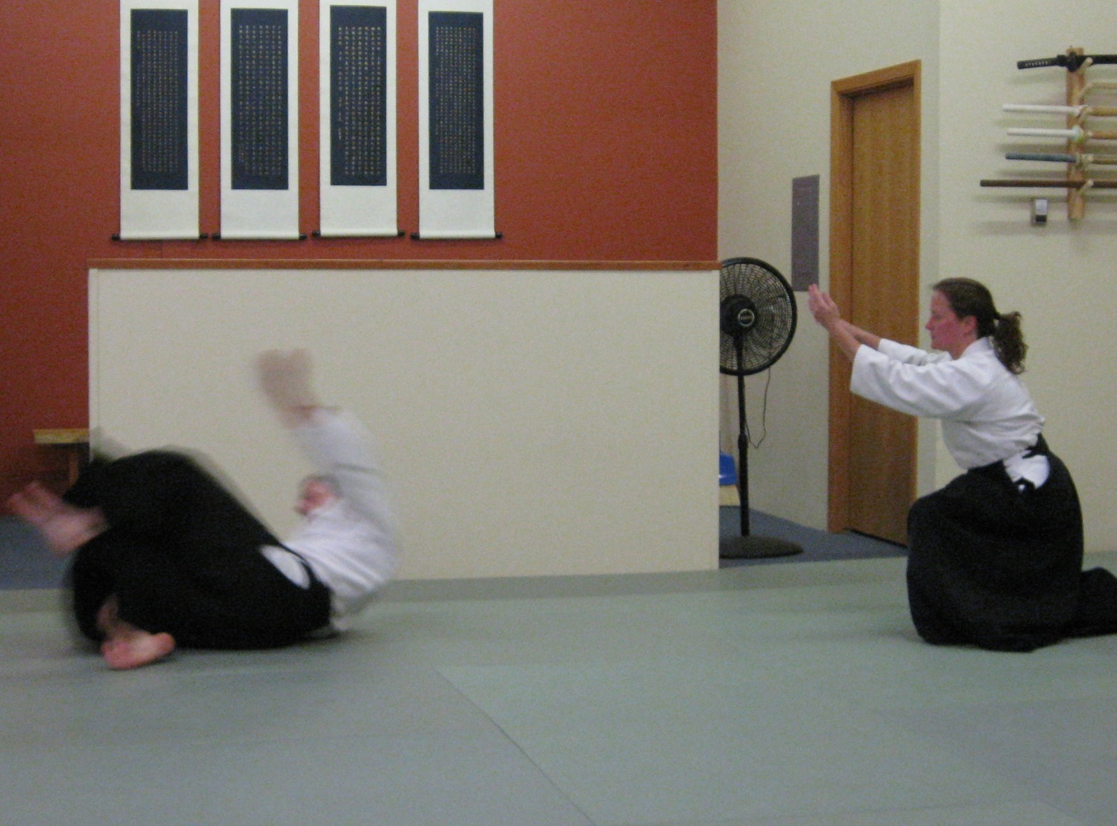 Aikido Kenkyu Dantai