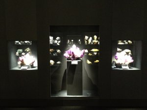 Crystal Exhibition: Beautiful Crystal Specimens in Florence, Italy ...