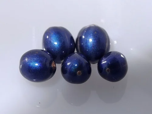Metallic Blue Berries! Pollia condensata "Marble Berry" — Jesse Waugh