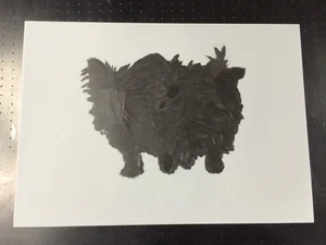 Poppy & Monty - My First Screenprints! — Jesse Waugh