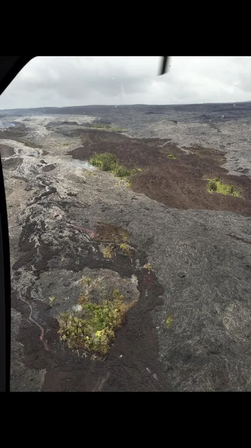 A February of hearts, #thetapestryheart — Rebecca Mezoff