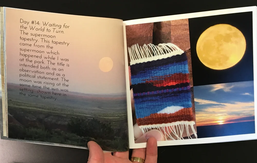 The Petrified Forest Tapestries book — Rebecca Mezoff