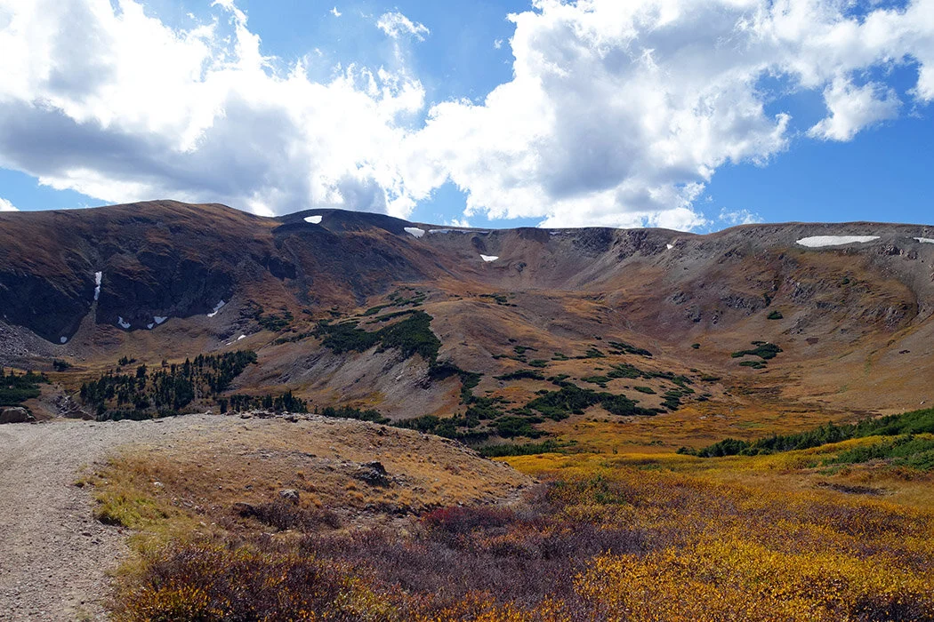 Fall in Colorado: weaving leaves — Rebecca Mezoff