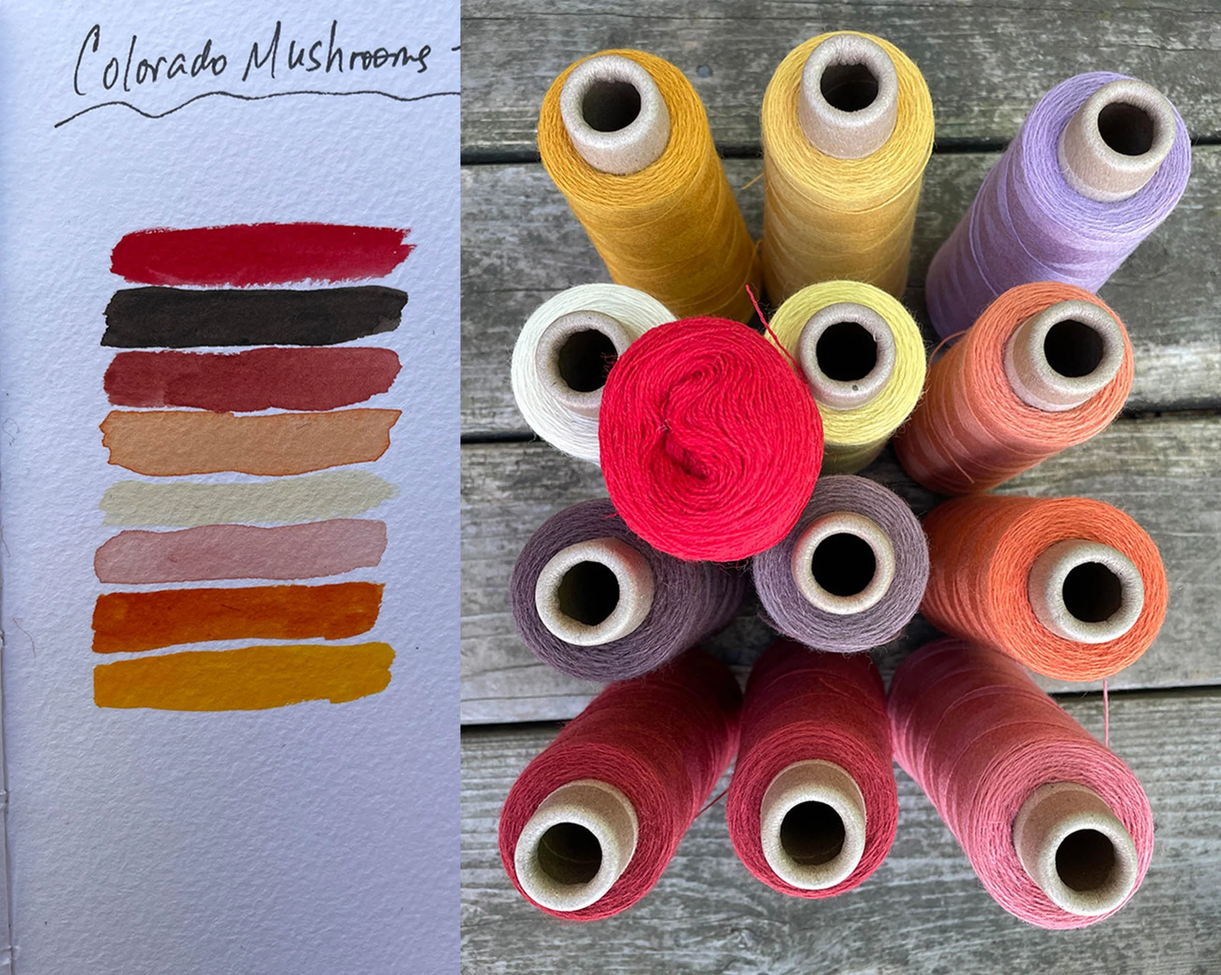 Weaving from the colors around me: the Mirrix Challenge 2022 — Rebecca ...