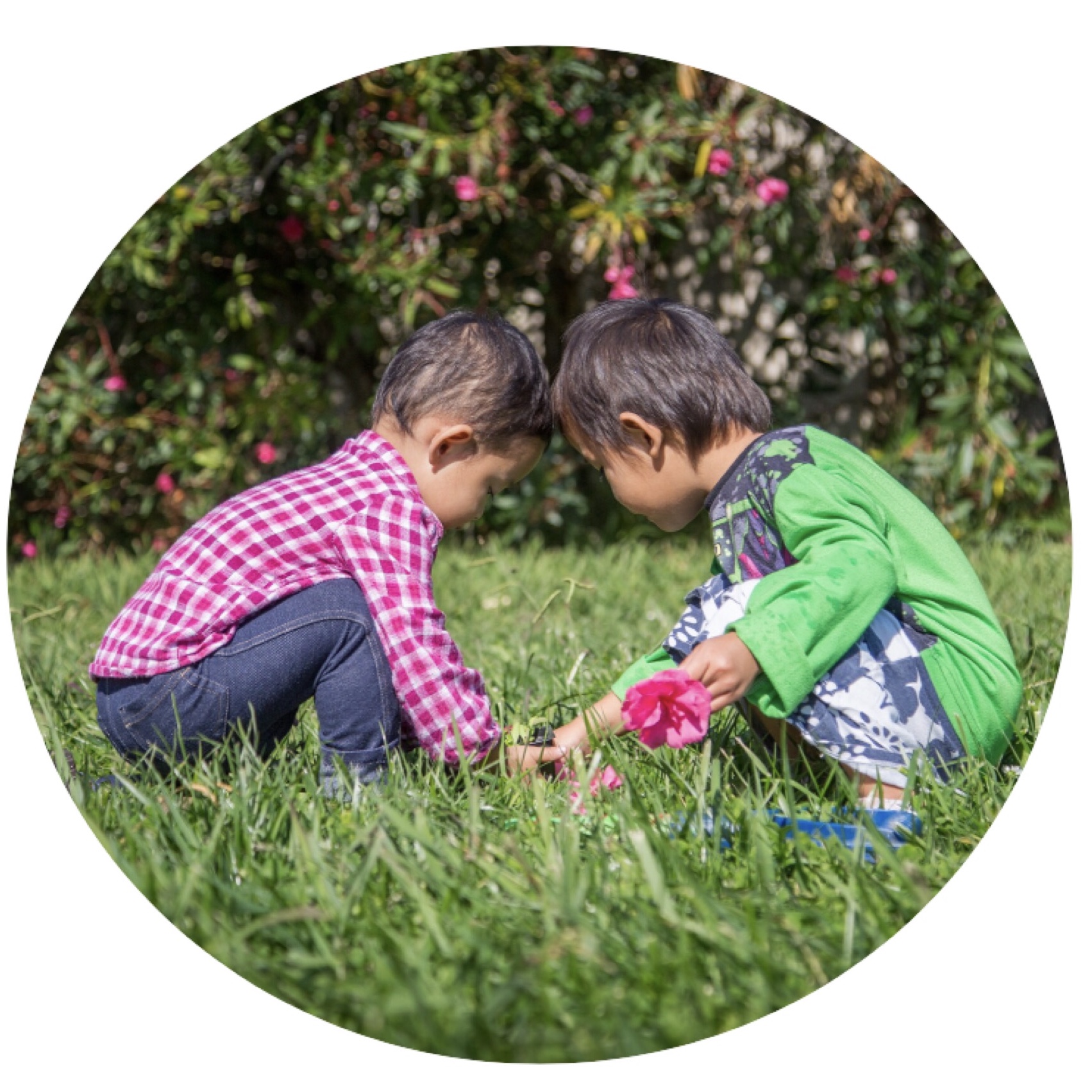 Refugee & Immigrant Transitions