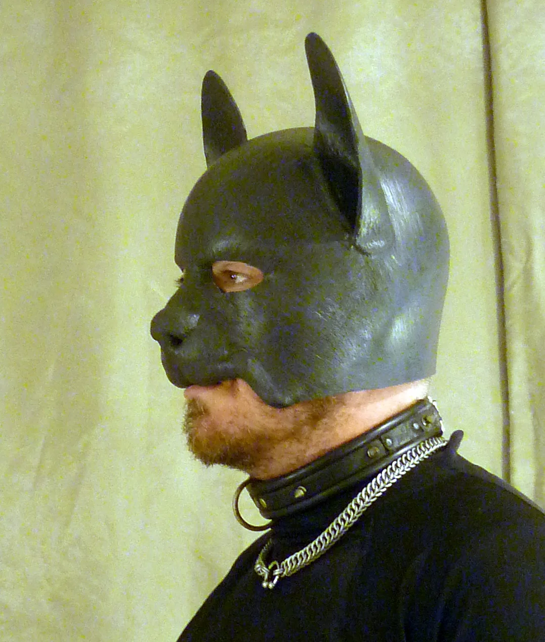 Pup Hoods — SIRIUSPUP