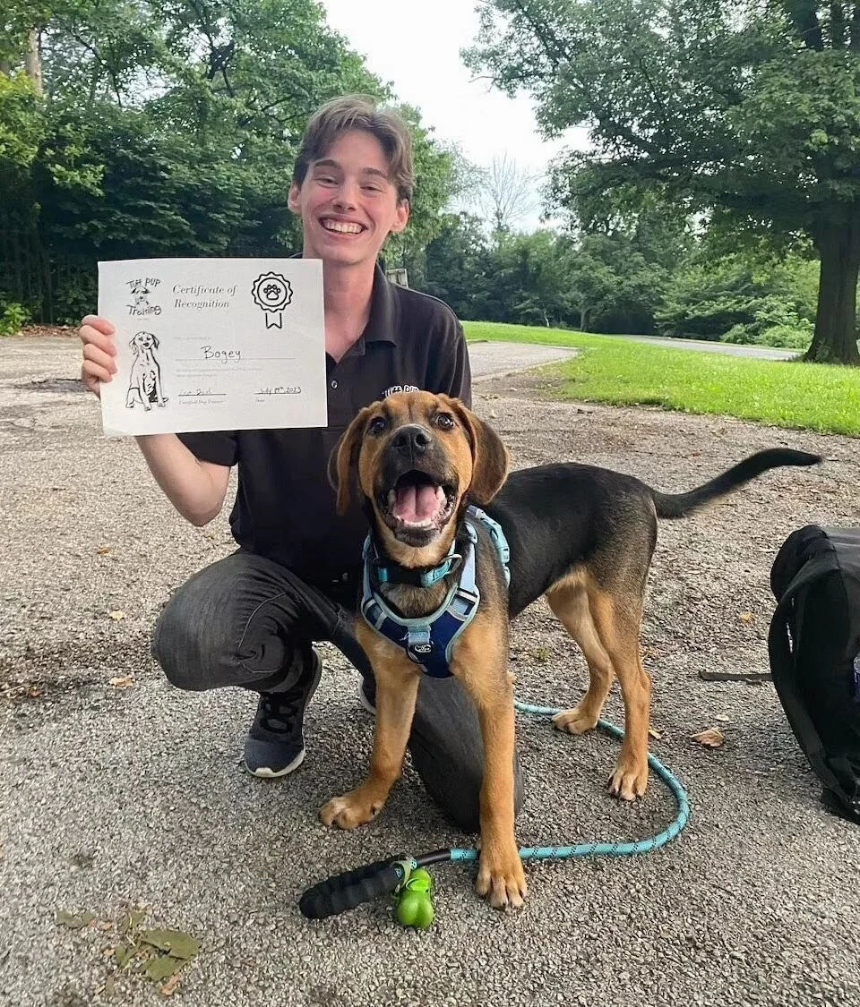 Tutoring sessions — Tuff Pup Training