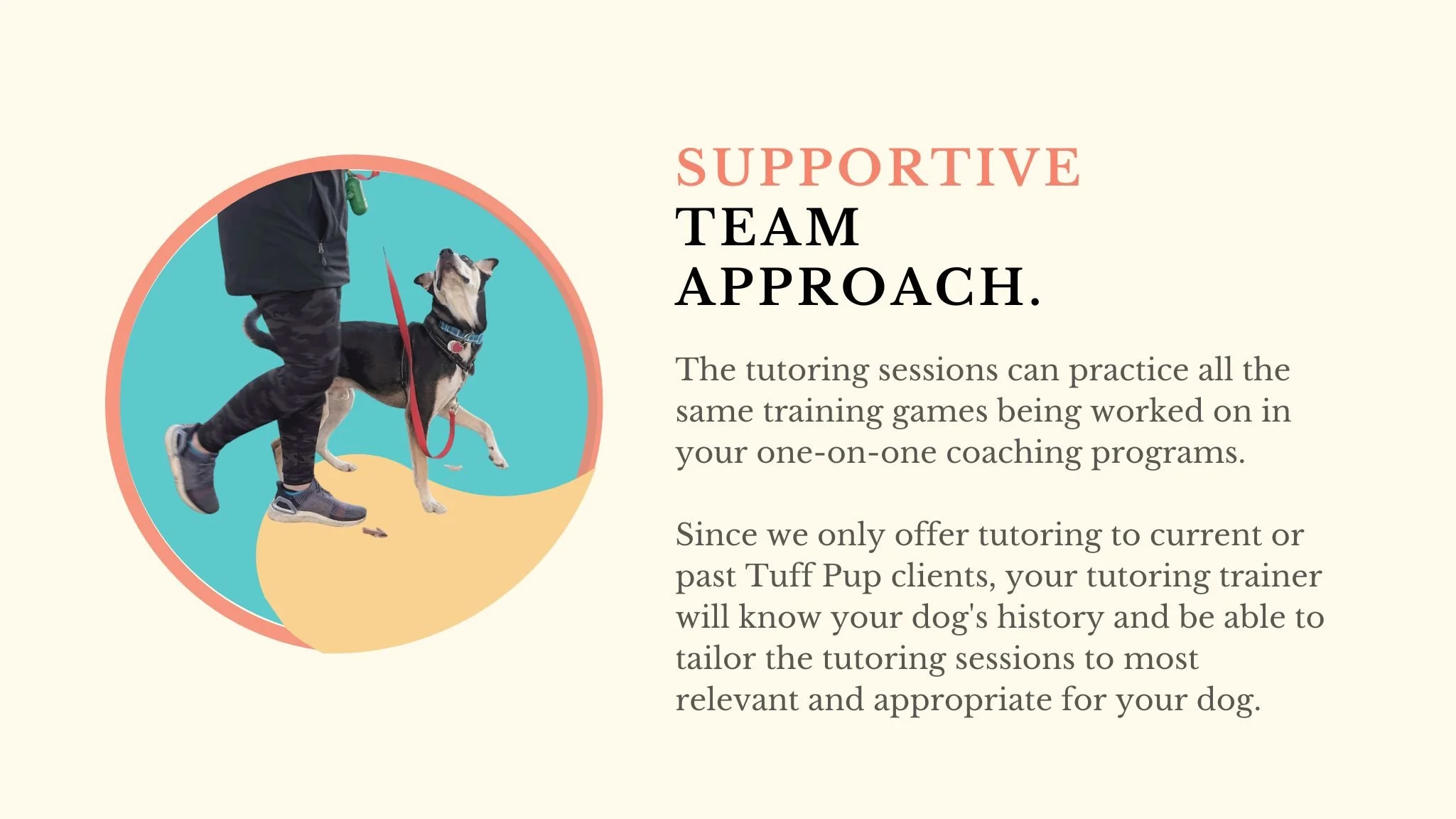 Tutoring sessions — Tuff Pup Training