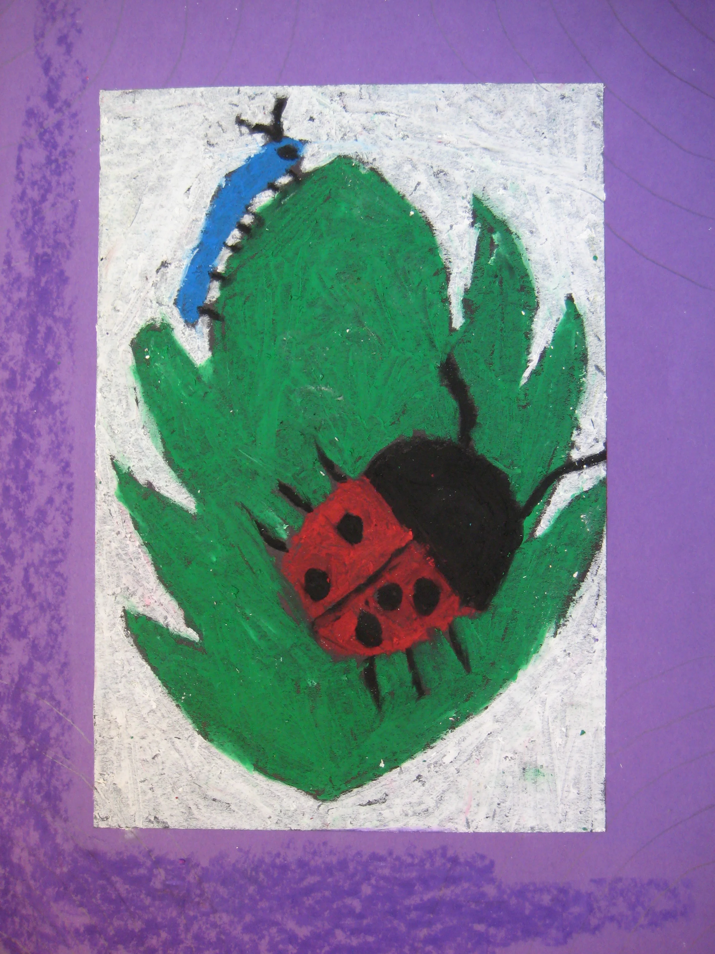 The Insect Inquiry: Oil Pastel Drawings — etcetera art