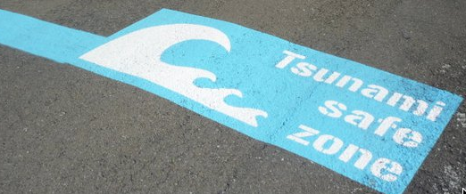 Blue lines for Tsunami Awareness — Hataitai