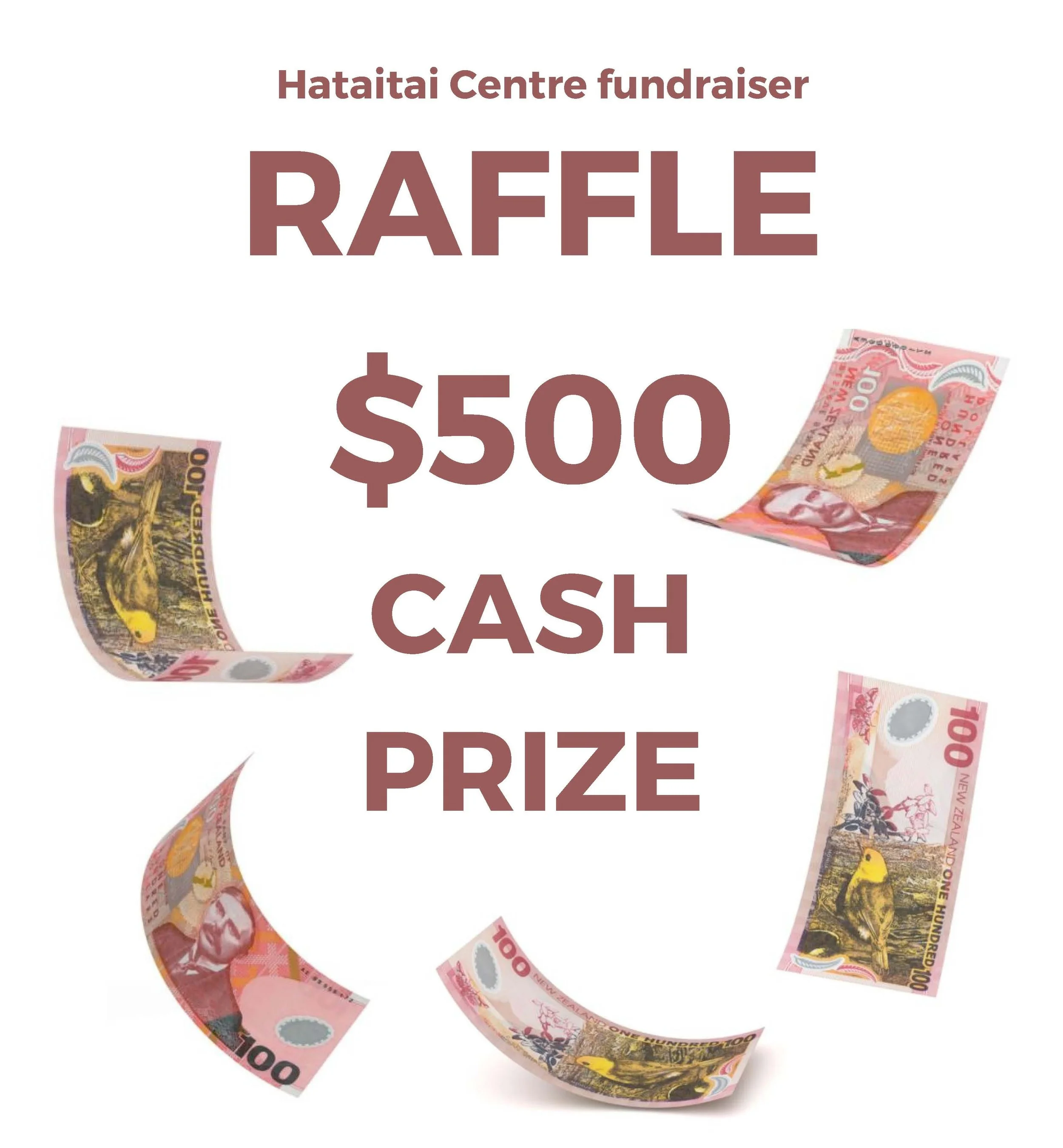 $500 Cash Christmas Raffle — Hataitai
