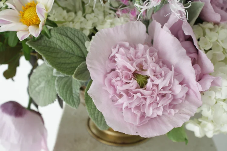 Poppies — PHILOSOPHY FLOWERS — Flowers, Event Design, Workshops by ...