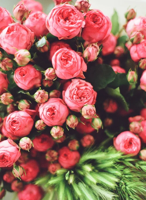 The Desert in Spring :: Flowerwild Workshop, Palm Springs — PHILOSOPHY ...
