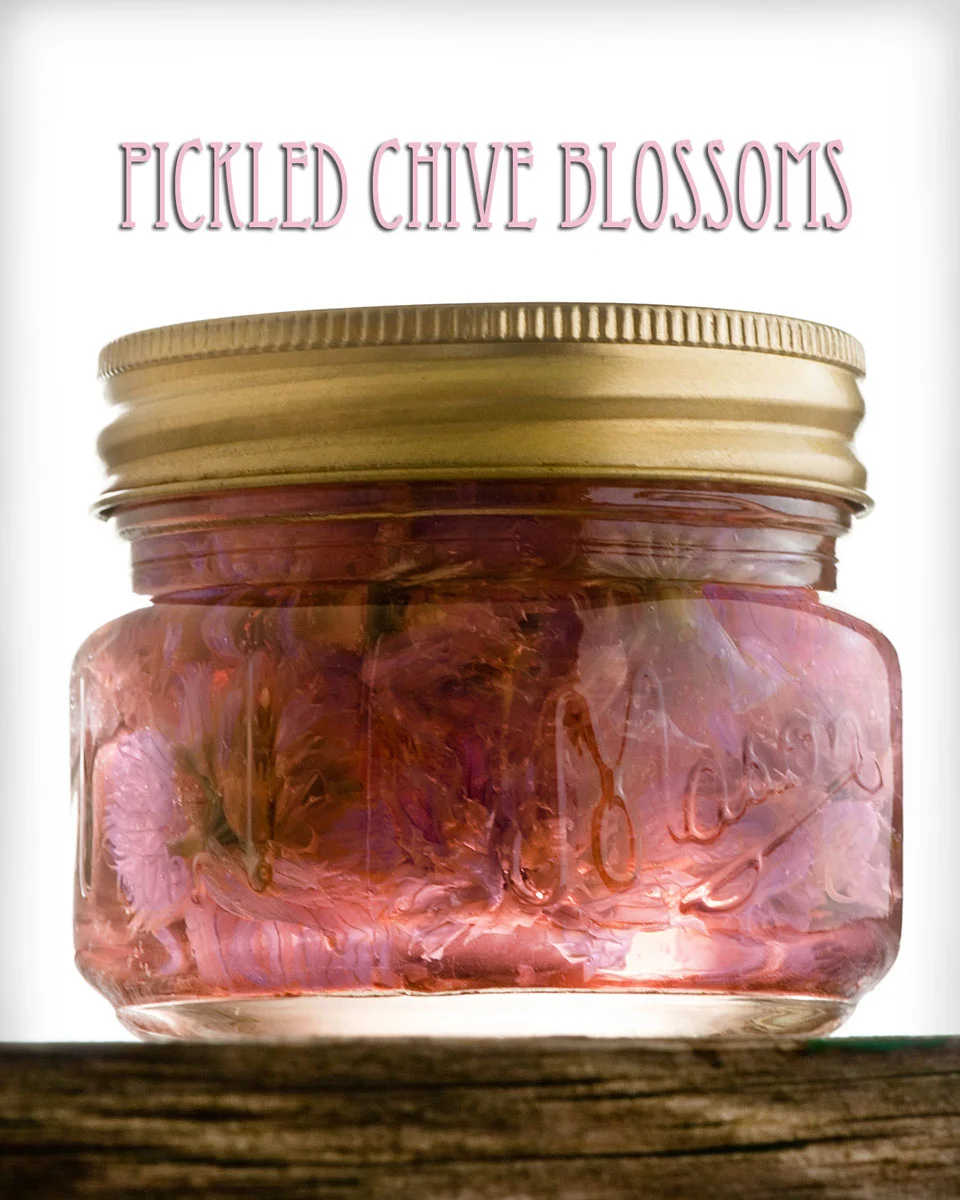 Pickled Chive Blossoms — Beth Dunham