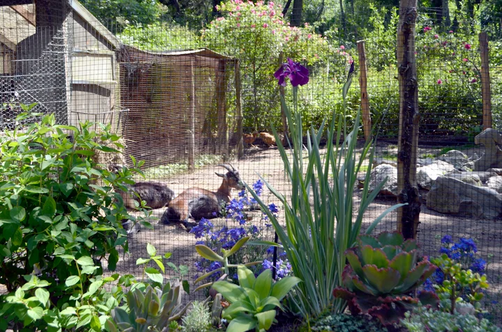 My Self-Guided North Fork Hen House Tour — out east foodie