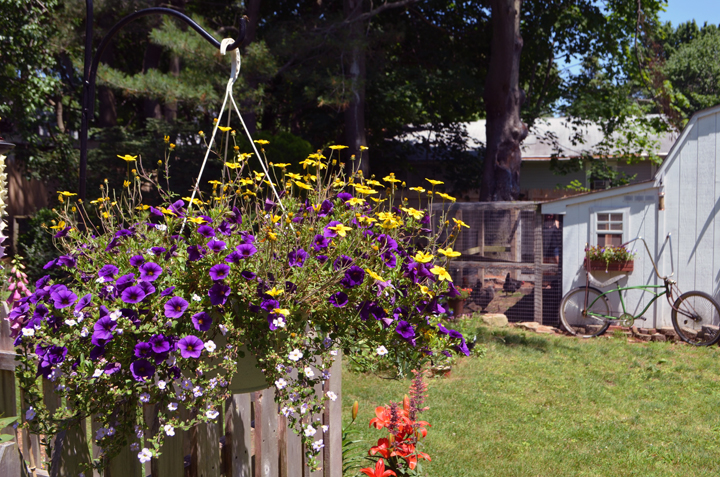 My Self-Guided North Fork Hen House Tour — out east foodie