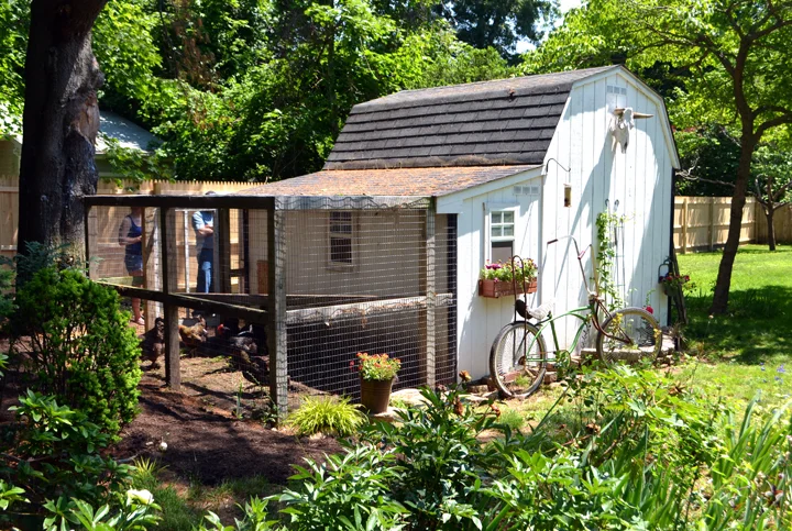 My Self-Guided North Fork Hen House Tour — out east foodie