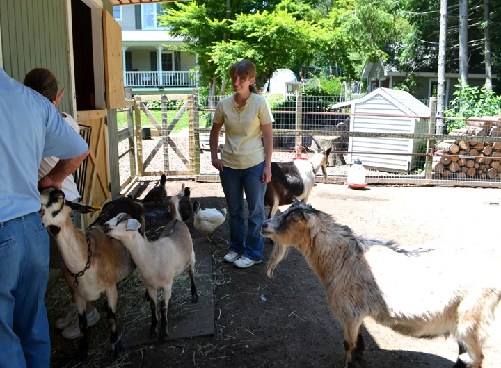 My Self-Guided North Fork Hen House Tour — out east foodie