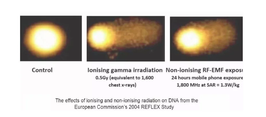 9 Part Series on Cell phone/EMF Harm and What to Do about it — Dr. Kwik ...