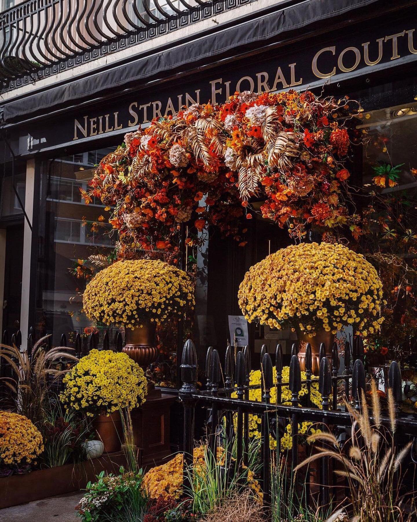 Neill Strain Floral Couture London