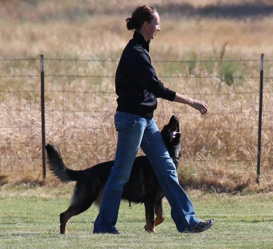 What Is Ipo Dog Training