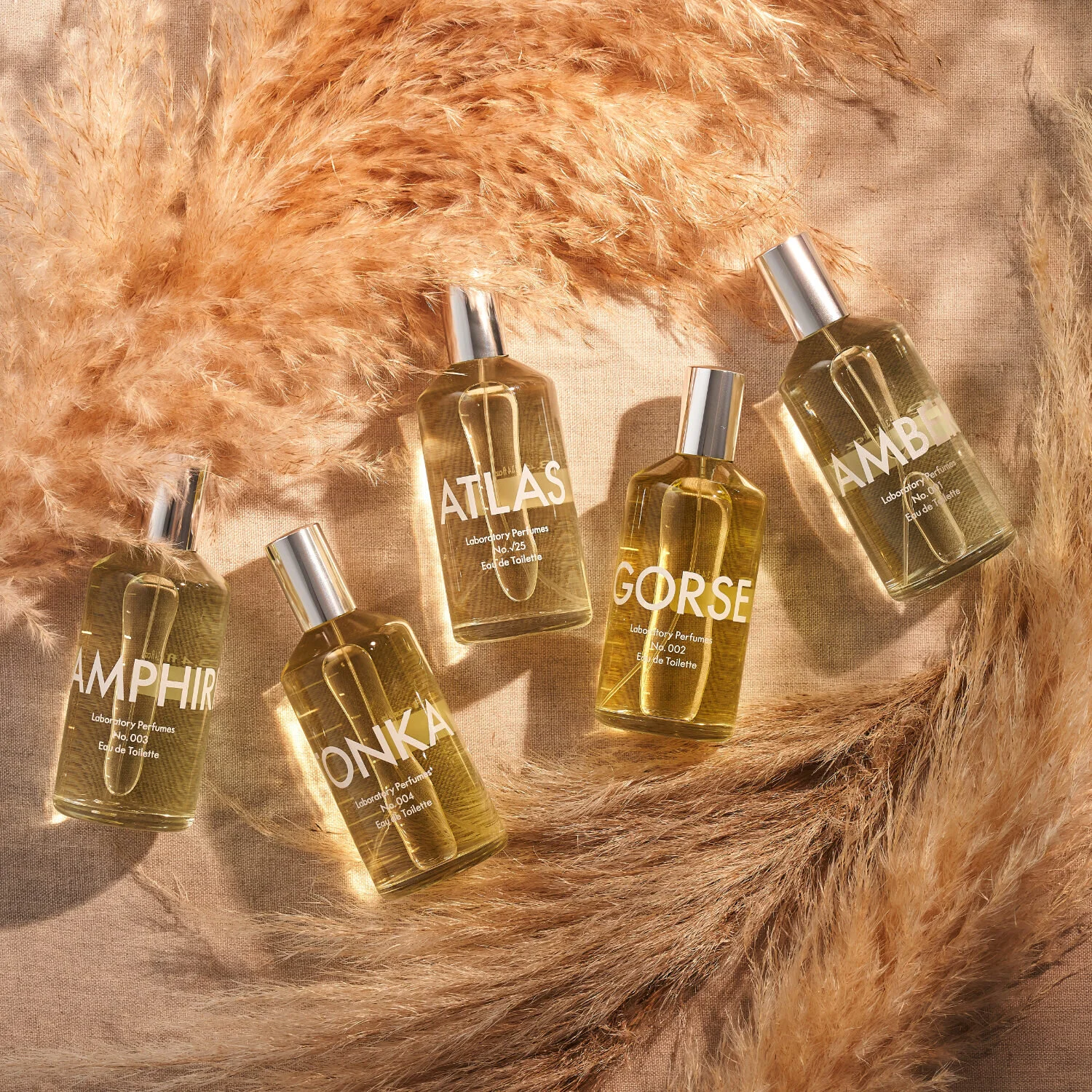 Creative shoots for Laboratory Perfumes. — Yeshen Venema