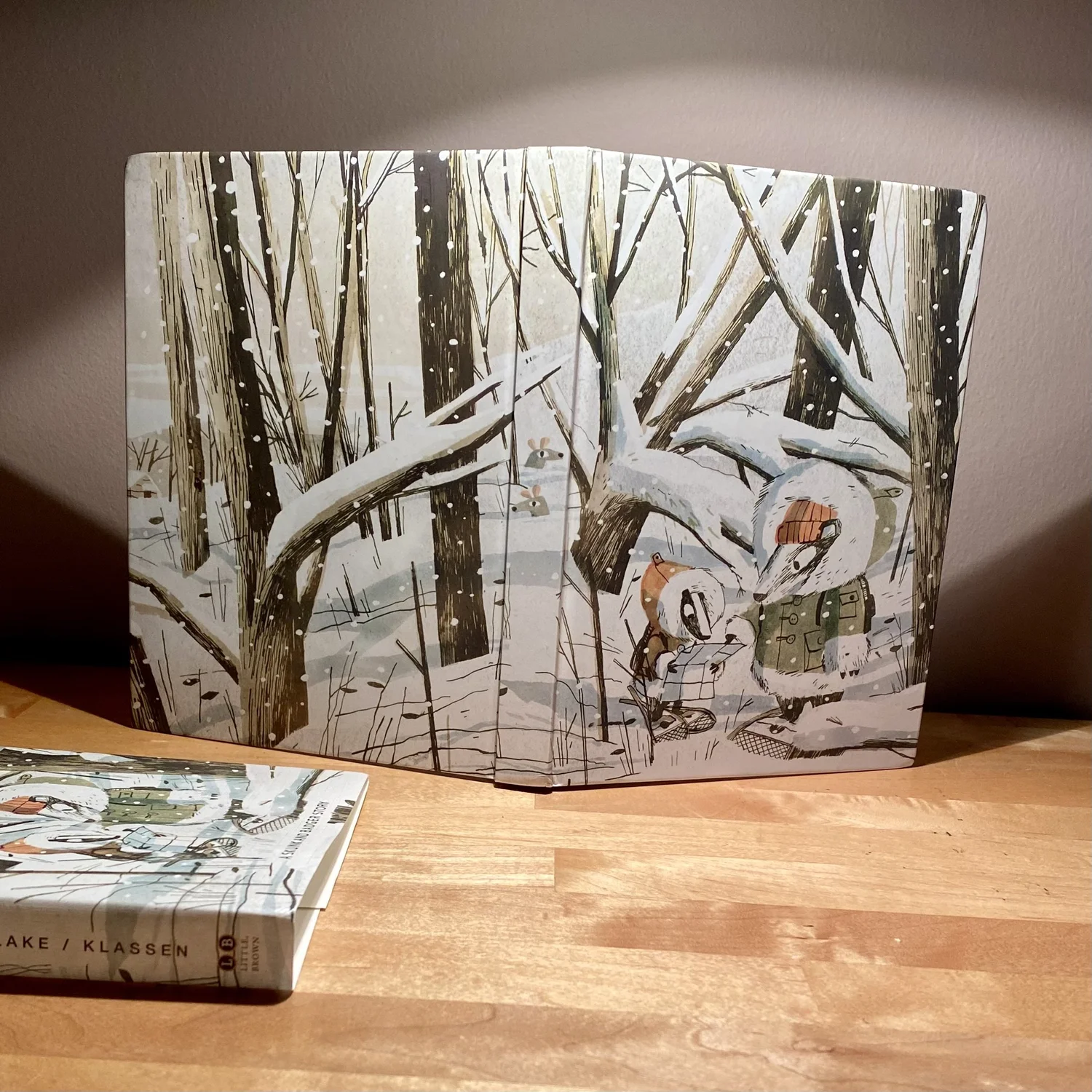 Skunk and Badger — Amy Timberlake's Books