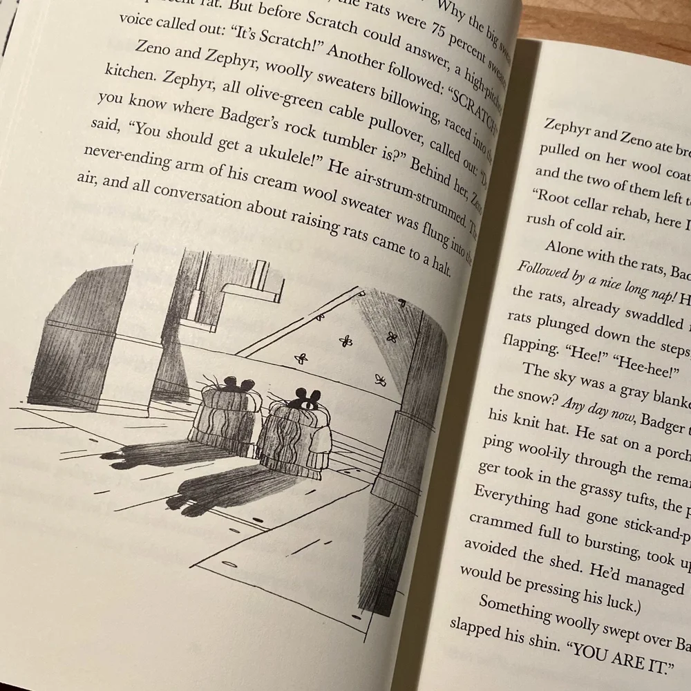 Skunk and Badger — Amy Timberlake's Books