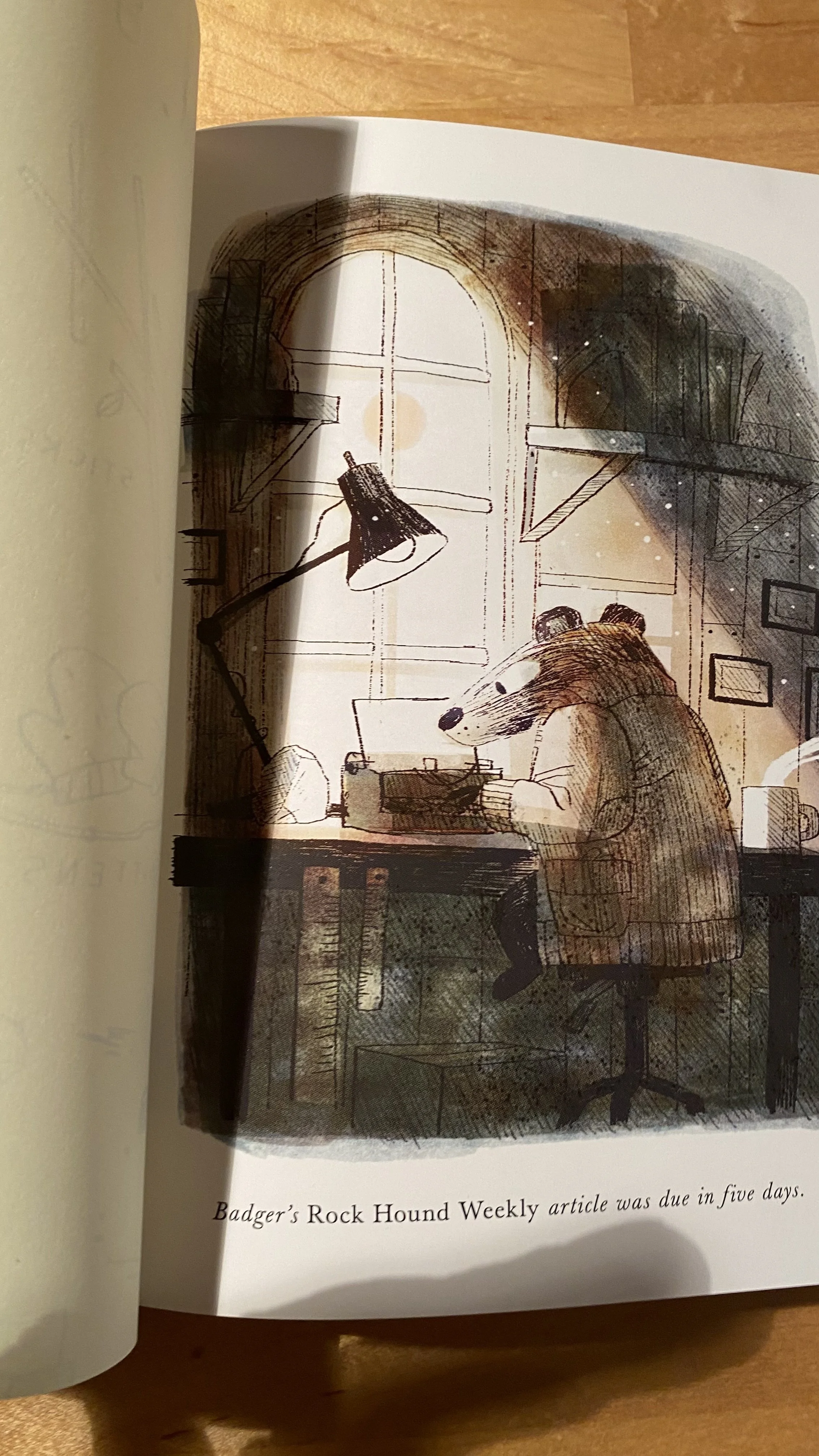 Skunk and Badger — Amy Timberlake's Books