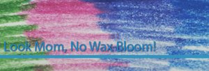 011 Don't Let Wax Bloom Happen To You! — Sharpened Artist