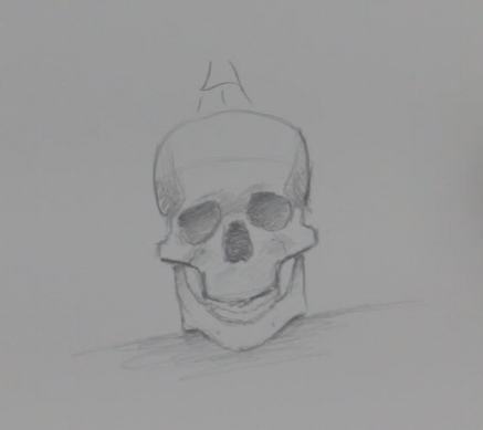 PORTRAIT PREP SERIES: Lesson 2 The Skull, Muscle and Skin — Sharpened ...