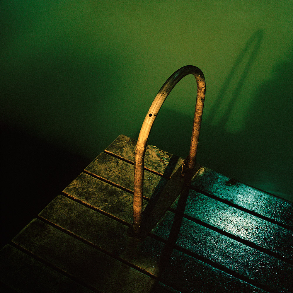 Gowanus Wild — Miska Draskoczy