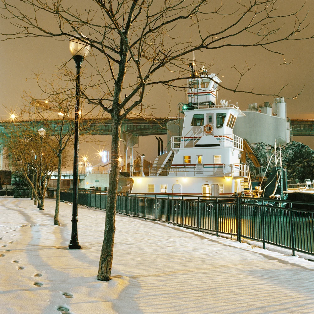 Gowanus Wild — Miska Draskoczy