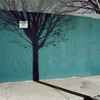 Gowanus Wild — Miska Draskoczy