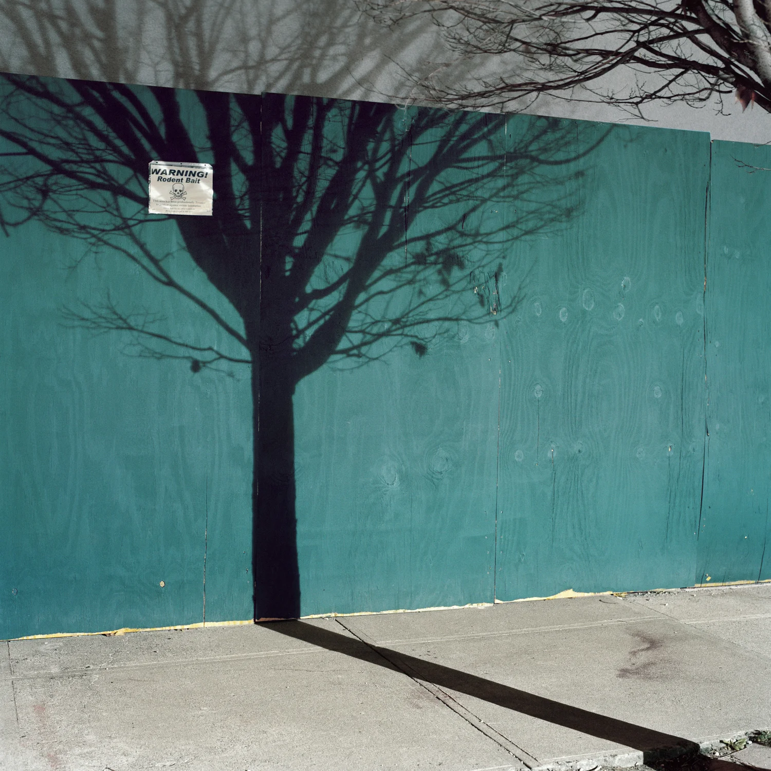 Gowanus Wild — Miska Draskoczy