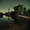Gowanus Wild — Miska Draskoczy