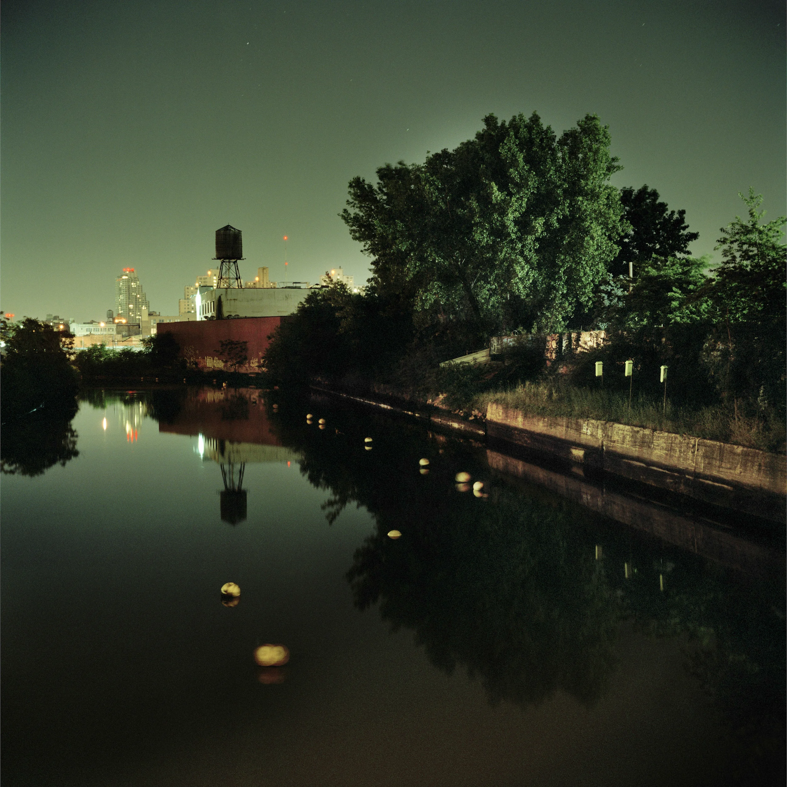 Gowanus Wild — Miska Draskoczy