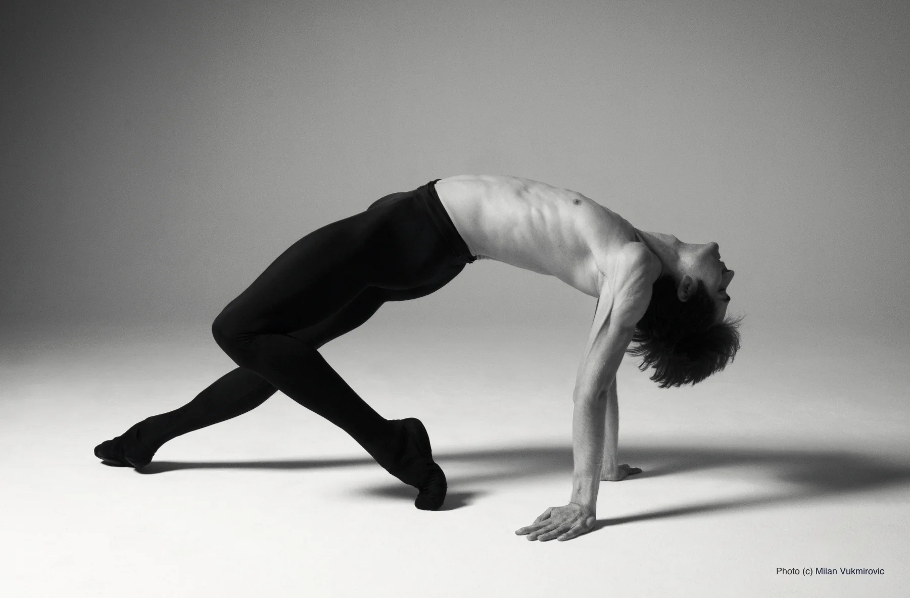 Friedemann Vogel Ballet Dancer