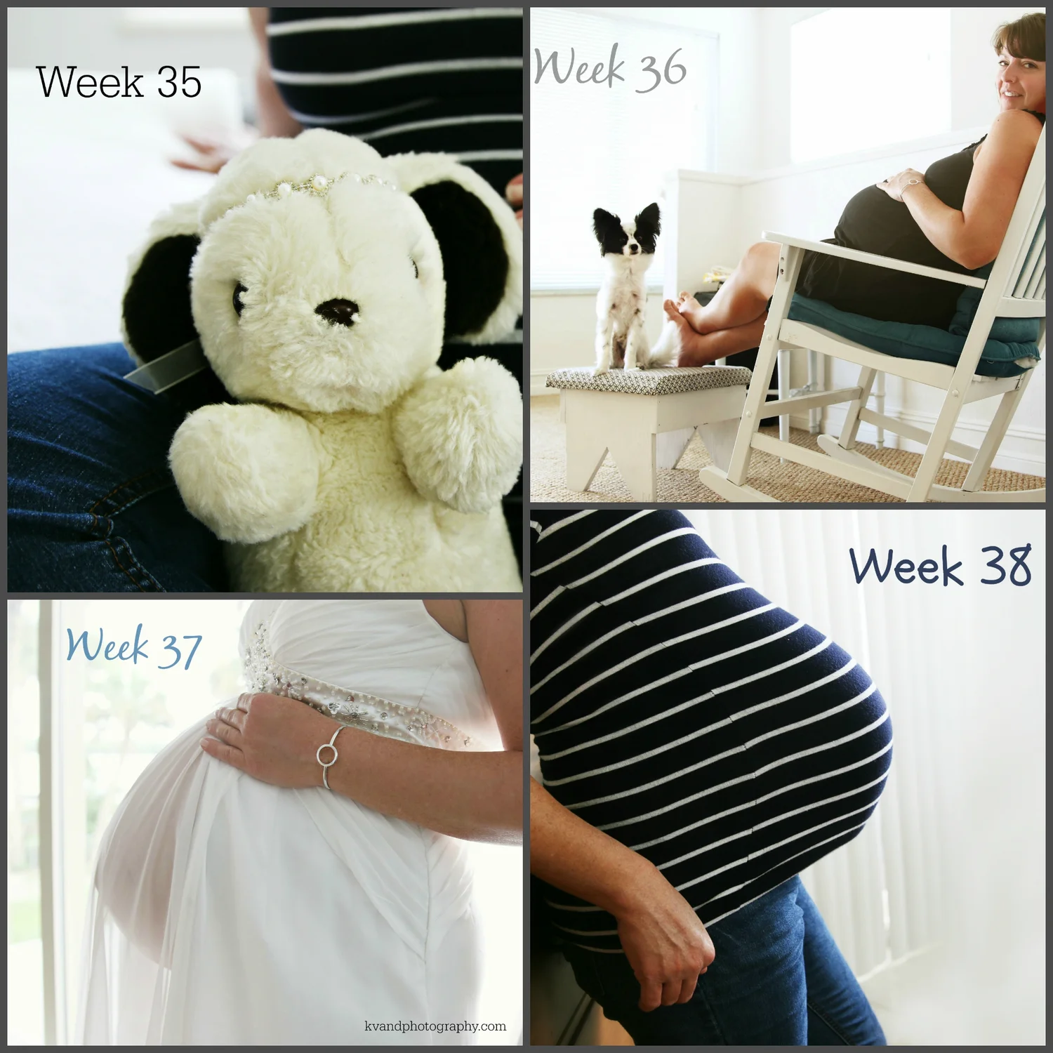 Waiting for Gigi! Weeks 16-40 of Julie's Pregnancy! — k van d photography