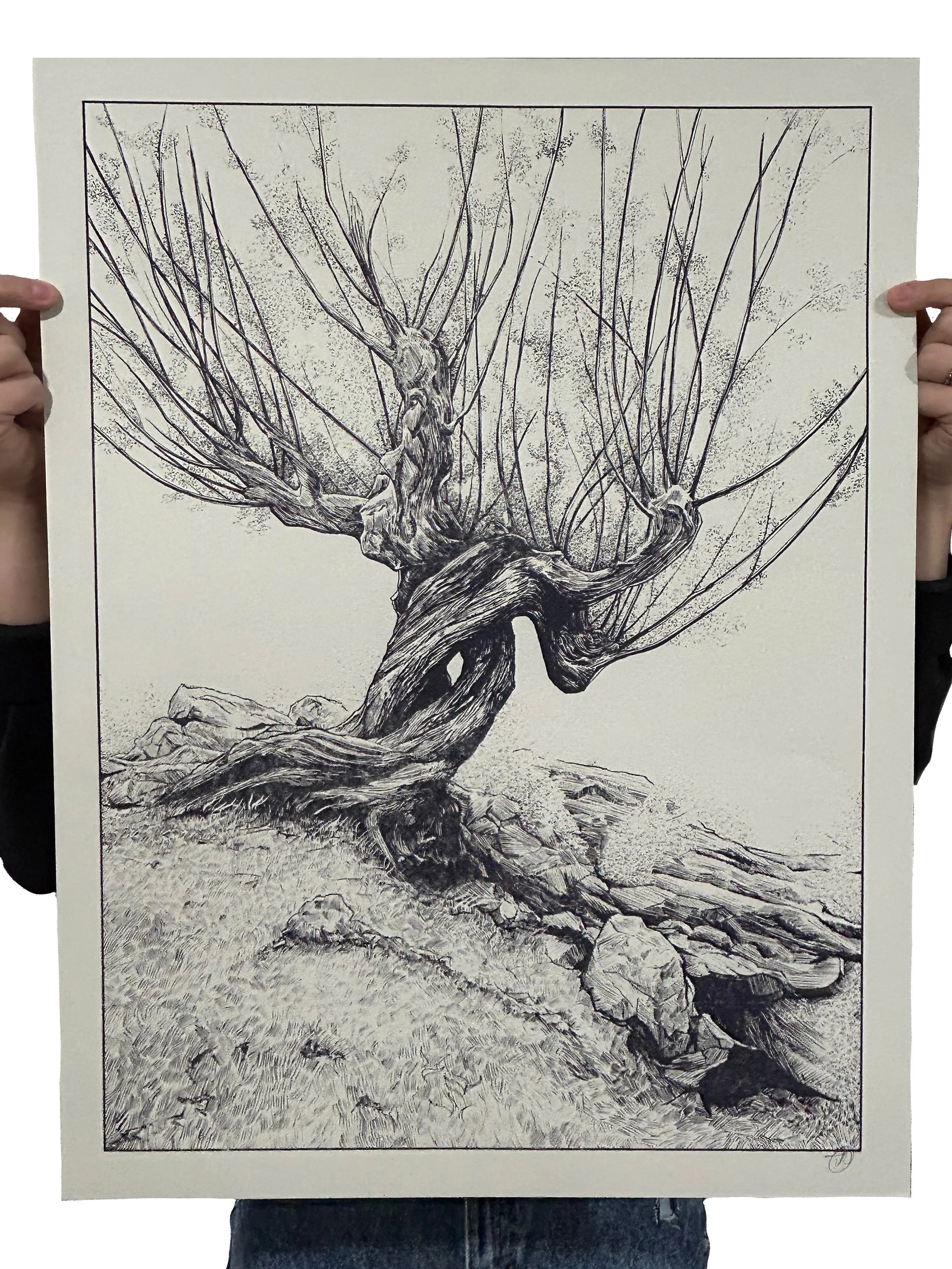 SHOP — The Graphite Club