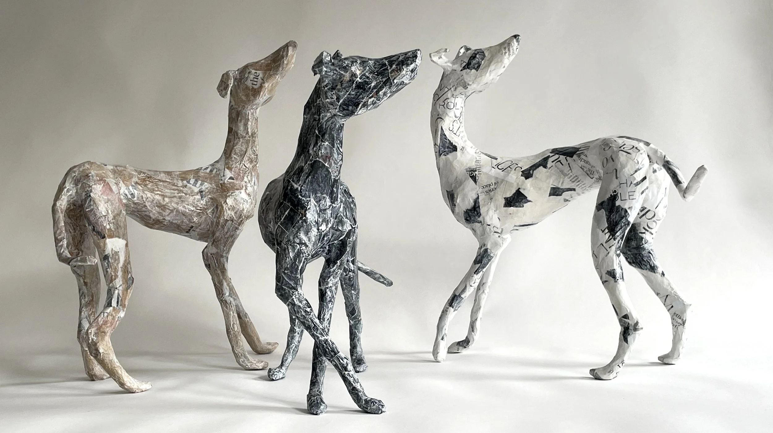 Shop — Barbara Franc