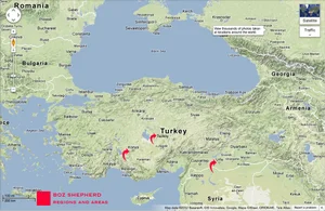 Breed History — Turkish Boz Shepherds- Breed information, History ...