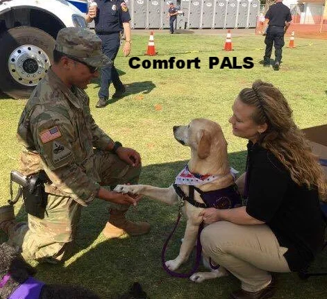 Paws As Loving Support Assistance Dogs